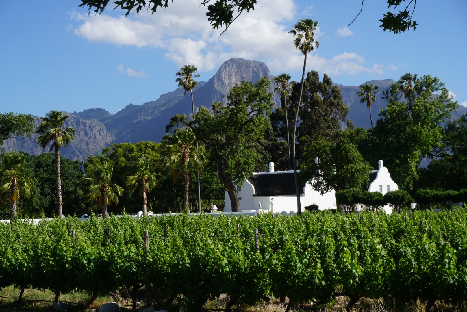 De 8 beste wijnhuizen in het culinaire Franschhoek - Vinovel | Alles ...